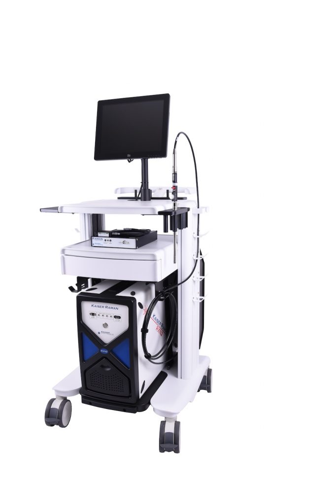 Endress+Hauser现在在加拿大销售Kaiser Raman分析仪-制造自动化